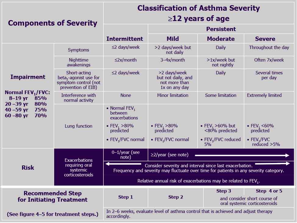 How Severe is My Asthma? | Allergy & Asthma Network