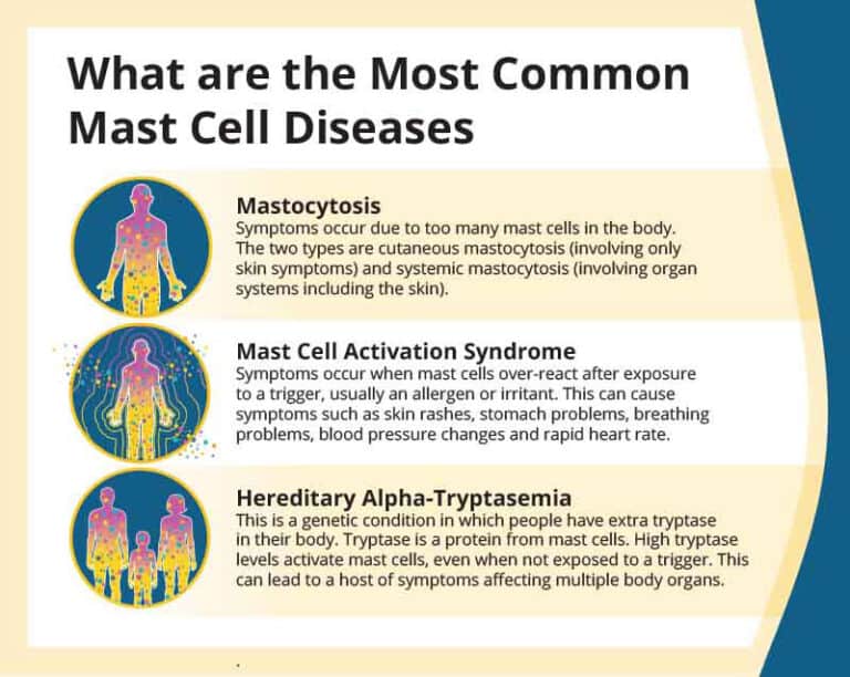 What Are Mast Cell Diseases? - Allergy & Asthma Network