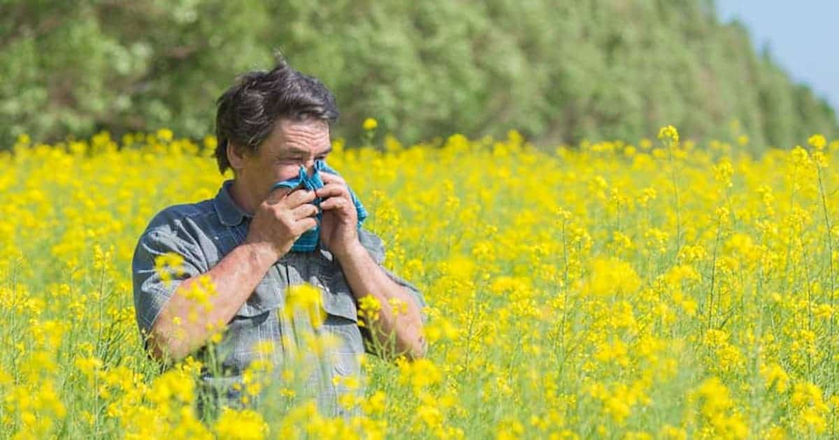 Pollen Allergy - Allergy & Asthma Network