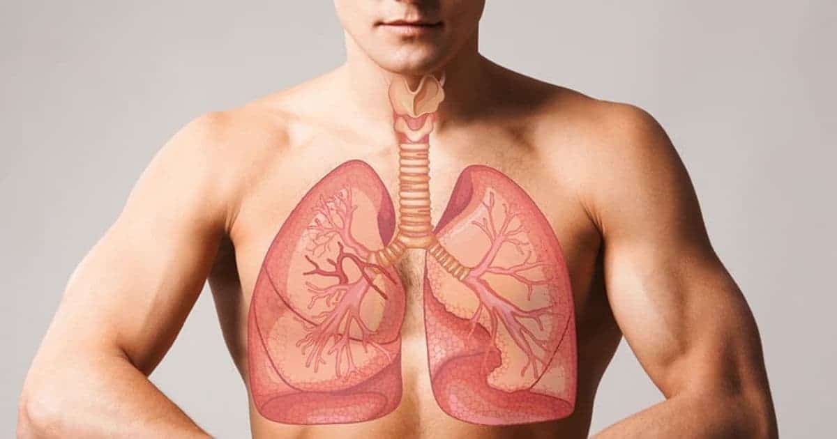 Interstitial Lung Diseases - Allergy & Asthma Network
