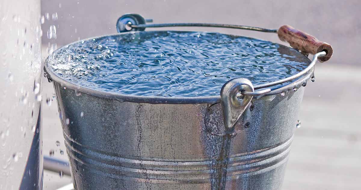 The Water Bucket Theory and How Allergy Immunotherapy Can Help ...